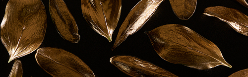 panoramic shot of golden metal decorative leaves isolated on black | 유토 ...