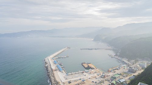 이끼 | 유토이미지 검색 결과