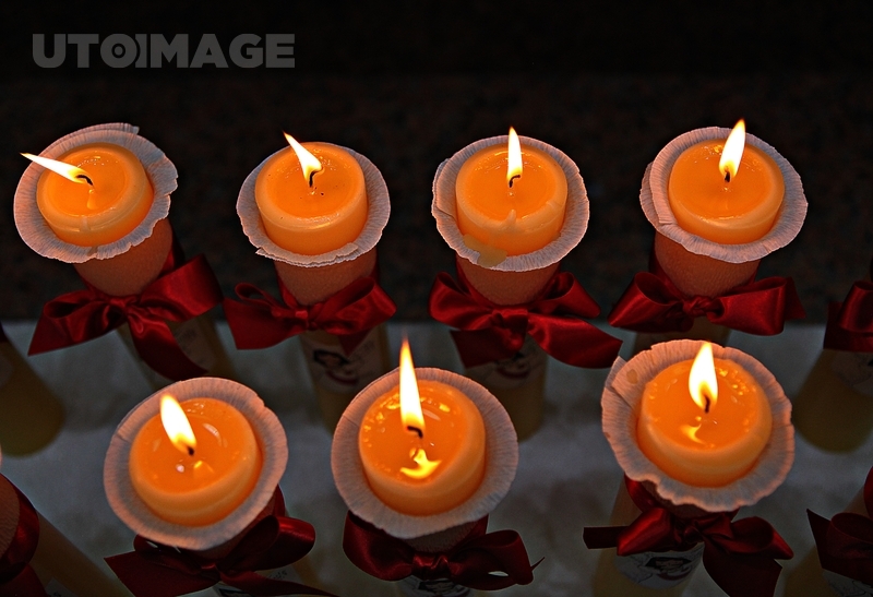 초 | 유토이미지 | 상세페이지 | 베이직샵 | 사진 | 21431933