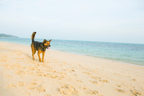 Y058 | 유토이미지 검색 결과