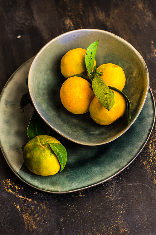 Tangerine | 유토이미지 검색 결과
