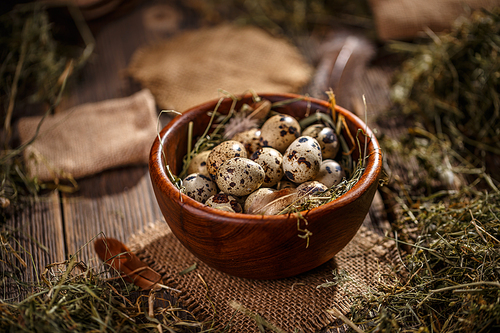 UFC0018_231115b | 유토이미지 검색 결과