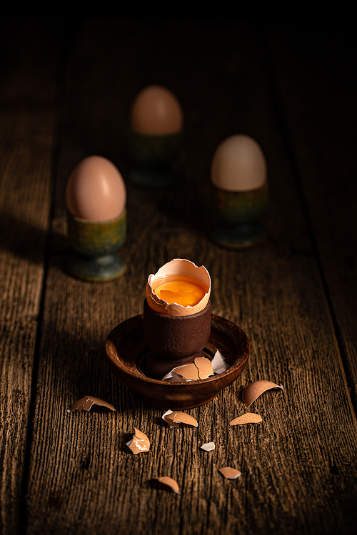 UFC0018_231115b | 유토이미지 검색 결과