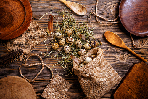 UFC0018_231115b | 유토이미지 검색 결과