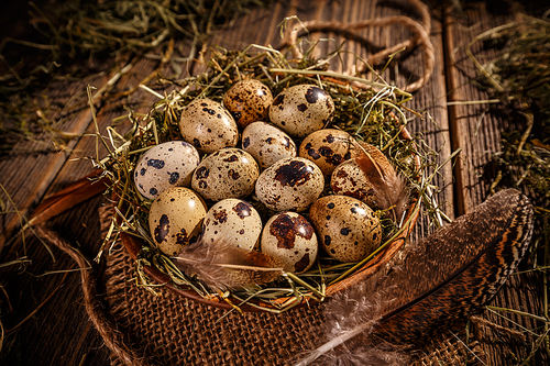 UFC0018_231115b | 유토이미지 검색 결과