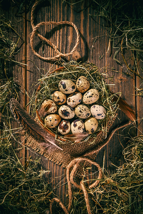 UFC0018_231115b | 유토이미지 검색 결과