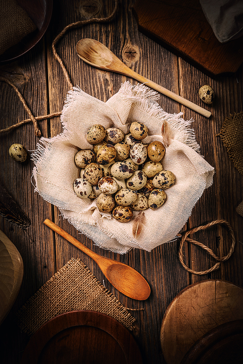 UFC0018_231115b | 유토이미지 검색 결과