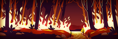 Burning wildfire at night. Fire in forest. Vector cartoon illustration ...