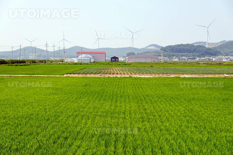 전라남도 신안군, 풍요로운 섬 자은도, 너른 들판과 풍력발전 | 유토이미지 | 상세페이지 | 베이직샵 | 사진 | 21375447