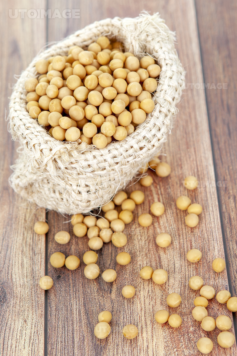 유토이미지 | 곡식,콩,백태