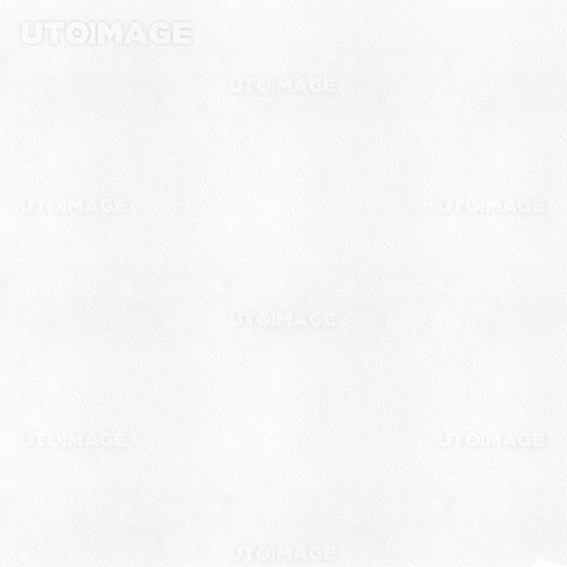 어떤 일러스트에도 잘 어울리는 하얀 흰색 배경일러스트에 필요한 텍스쳐가 강조된 흰색 배경일러스트 텍스쳐가 강조된 흰색 배경 유토이미지 상세페이지 베이직샵