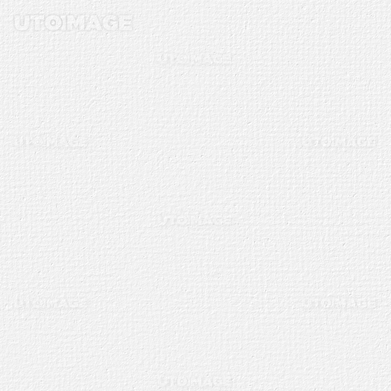 어떤 일러스트에도 잘 어울리는 하얀 흰색 배경일러스트에 필요한 텍스쳐가 강조된 흰색 배경일러스트에 필요한 텍스쳐가 강조된 흰색 배경일러스트에 필요한 텍스쳐가 강조된