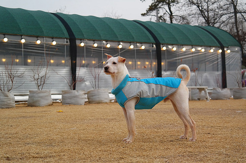 흰 옷 | 유토이미지 검색 결과