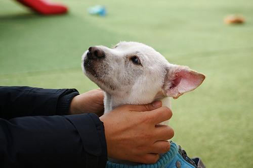 흰 옷 | 유토이미지 검색 결과