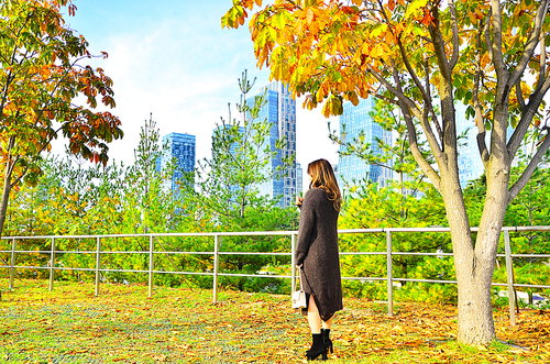 유토이미지 | 송도센트럴파크