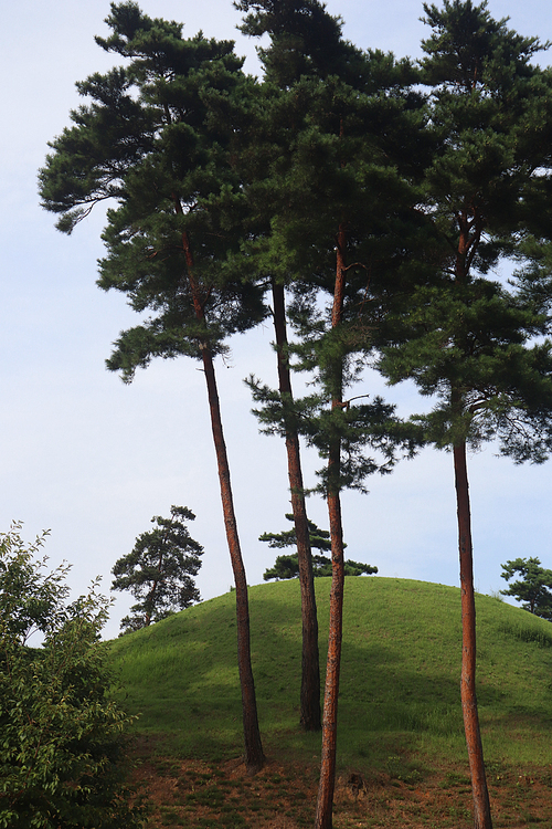 고령 | 유토이미지 검색 결과