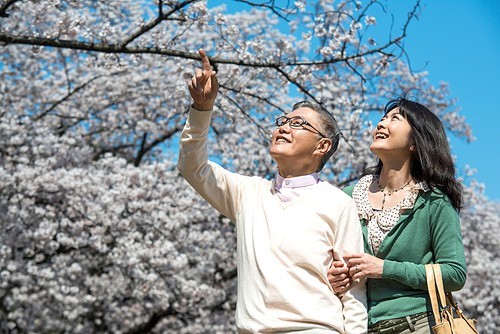 네 | 유토이미지 검색 결과