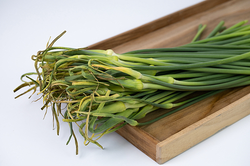 마늘쫑 | 유토이미지 검색 결과