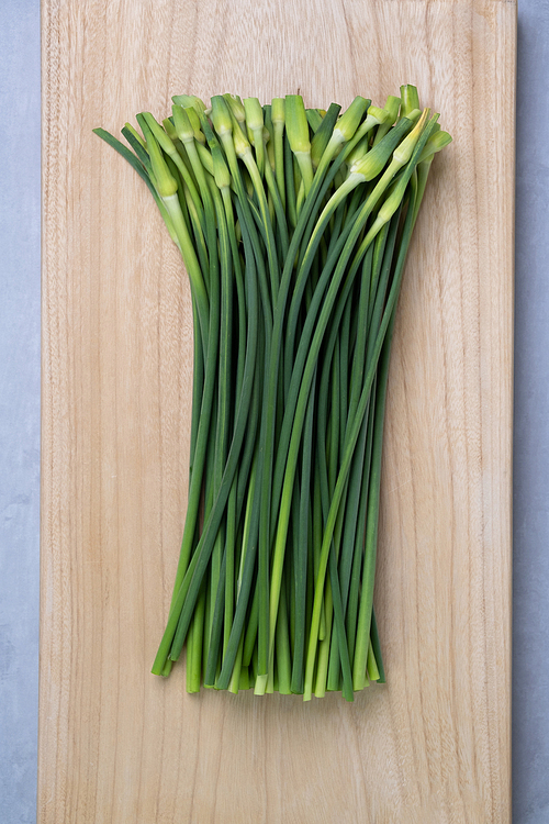 마늘쫑 | 유토이미지 검색 결과