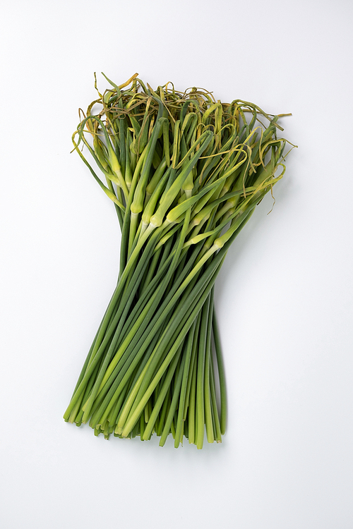 마늘쫑 | 유토이미지 검색 결과