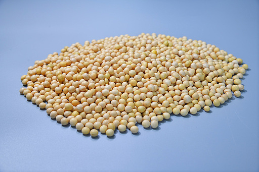 백태 | 유토이미지 검색 결과